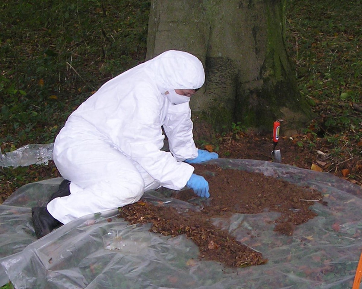 CSI: Crime Scene Insects – Crunchy on the outside