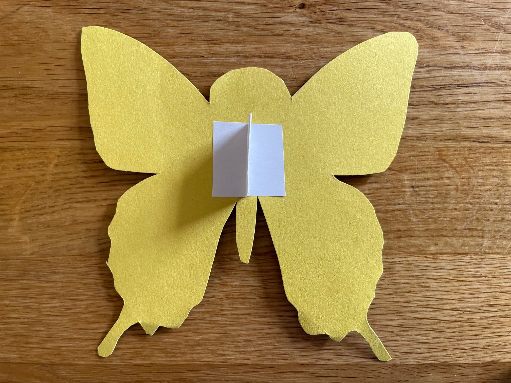 Make your own flying insect! – Crunchy on the outside