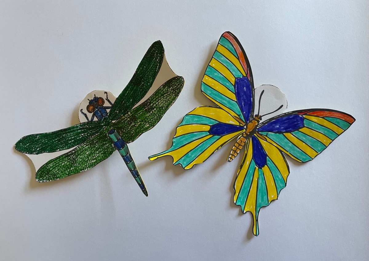 Make your own flying insect! – Crunchy on the outside