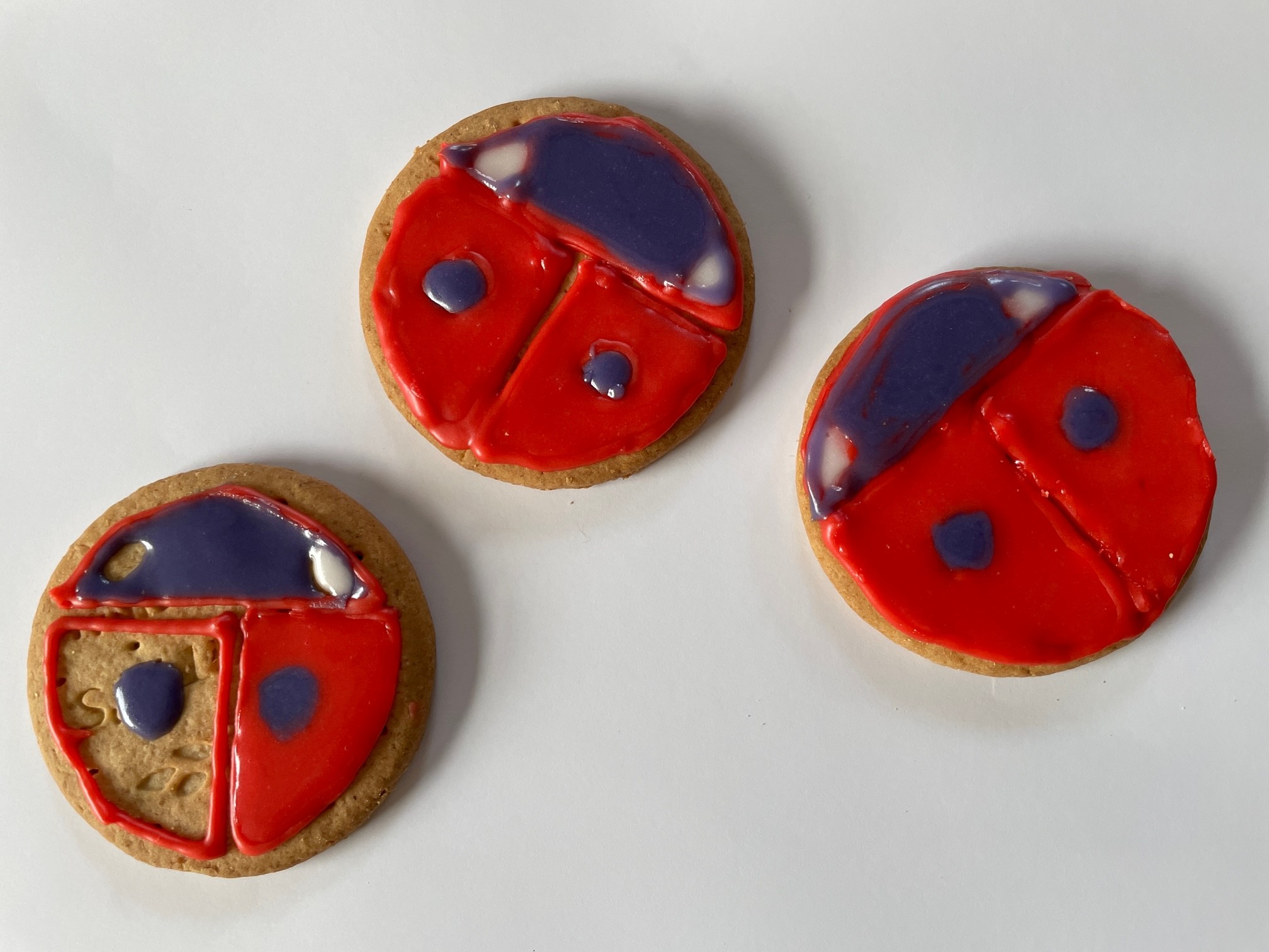 Beetle biscuits – Crunchy on the outside