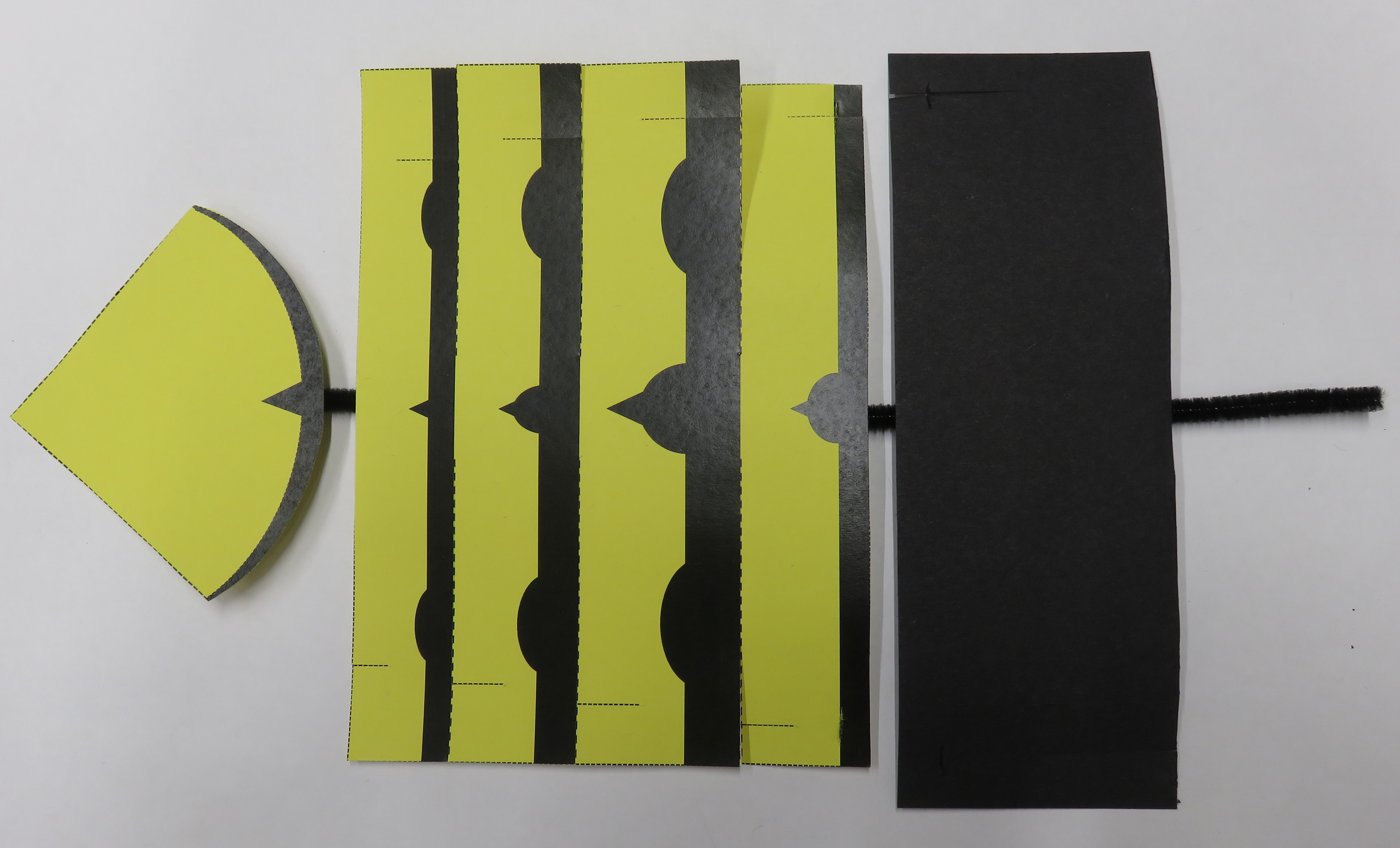 Make a model wasp – Crunchy on the outside