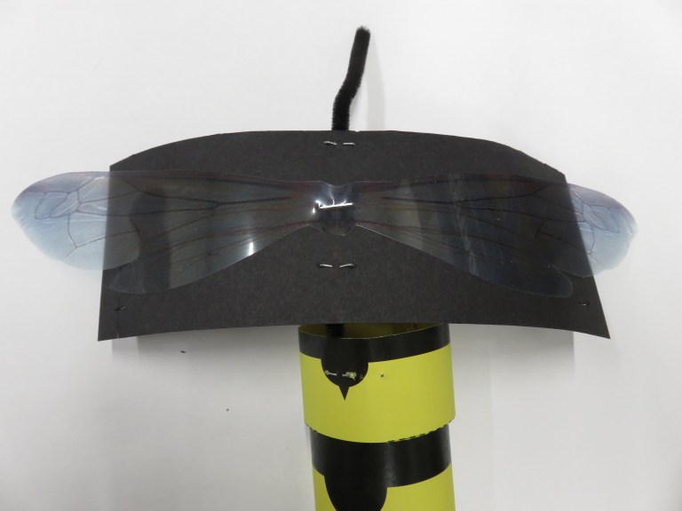 Make a model wasp – Crunchy on the outside