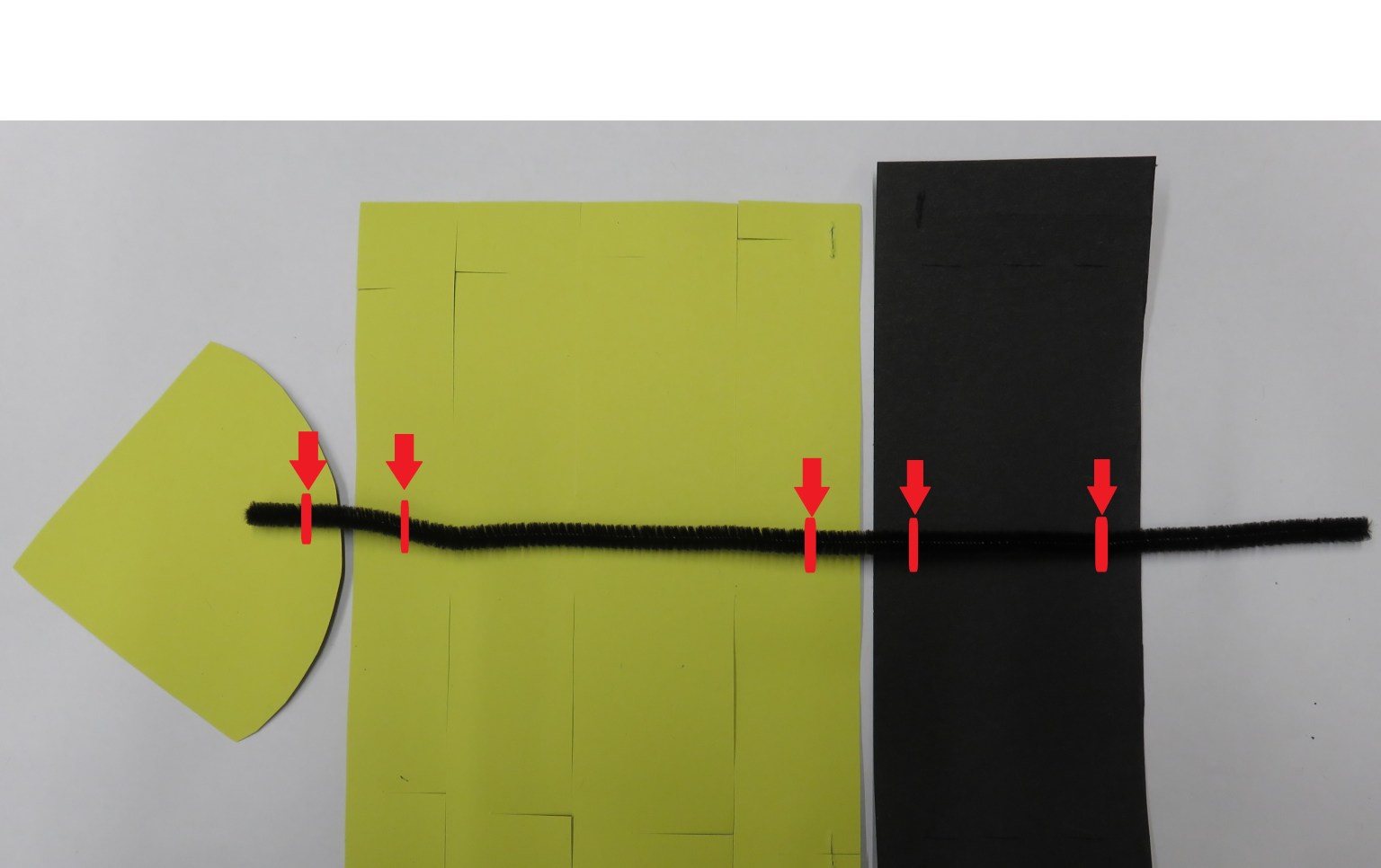 Make a model wasp – Crunchy on the outside